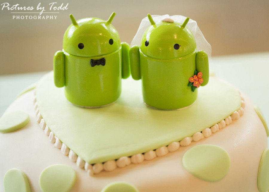 Lindsey & Joe's Wedding | The Place on the Lake